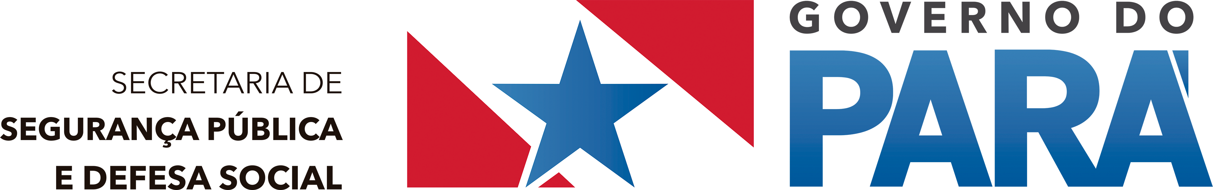 Feminicídio 2021 – Portal da Transparência da Segurança Pública | SEGUP-PA